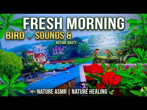 🍃 10 minutes of Pure Nature ASMR | Early Morning Birds Chirping & Gentle Breeze  (Nature Healing) 