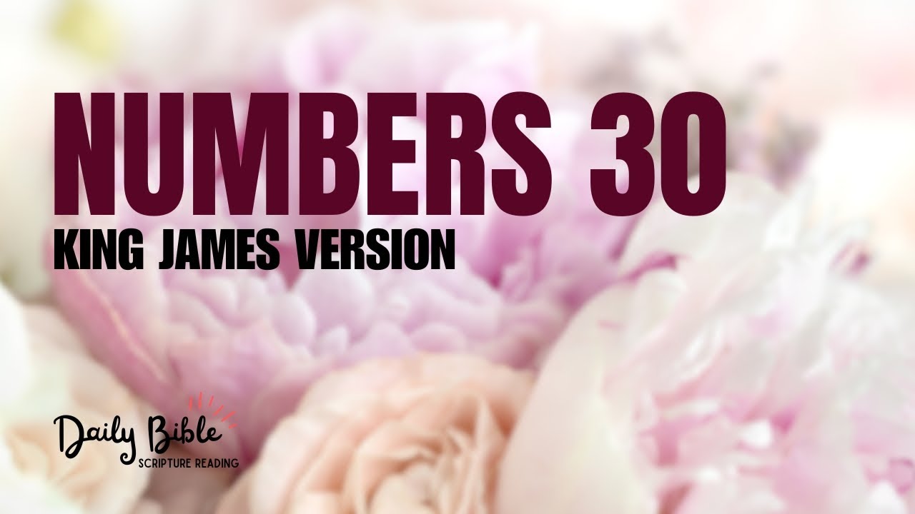 NUMBERS CHAPTER 30 Read Aloud In A Woman's Voice | Morning Bible Study ...