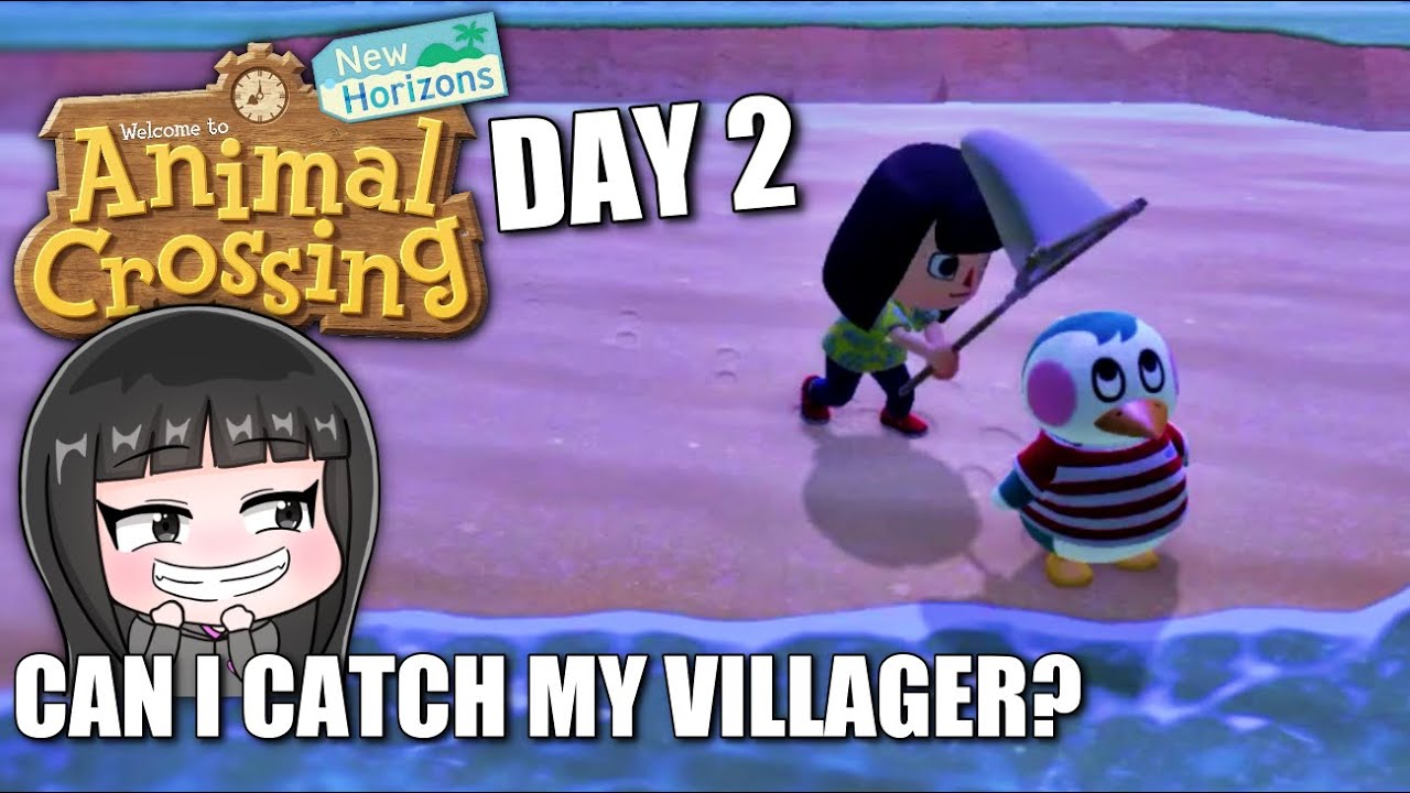 WHY SO ANGERY? | DAY 2 ANIMAL CROSSING - YouTube