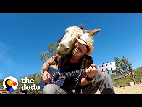 Donkey Snuggles Into Guy's Shoulder Every Time He Plays Guitar | The Dodo Soulmates