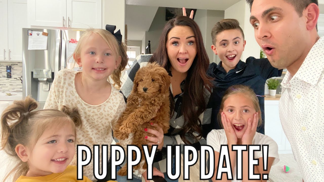 What’s New with our Puppy?!🐶 Update on Millie the Dog - YouTube