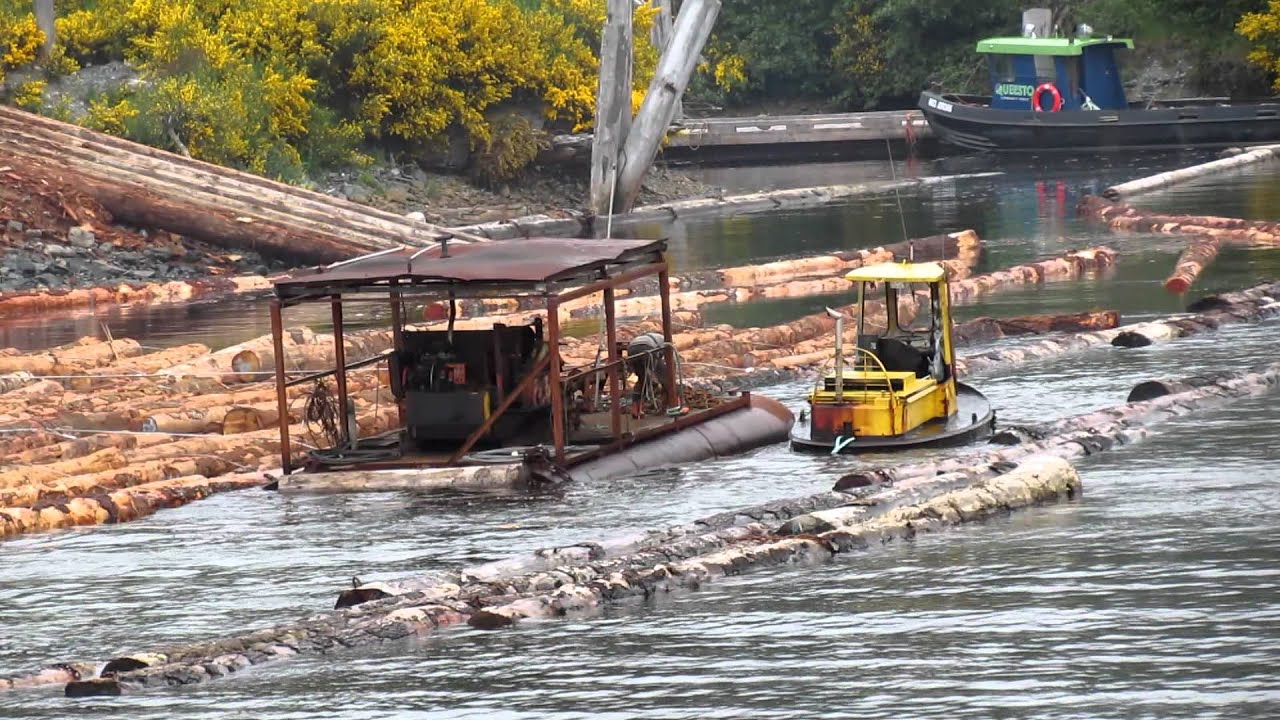 Boomboat assembling a lograft at Jordan River on Vancouver Island ...