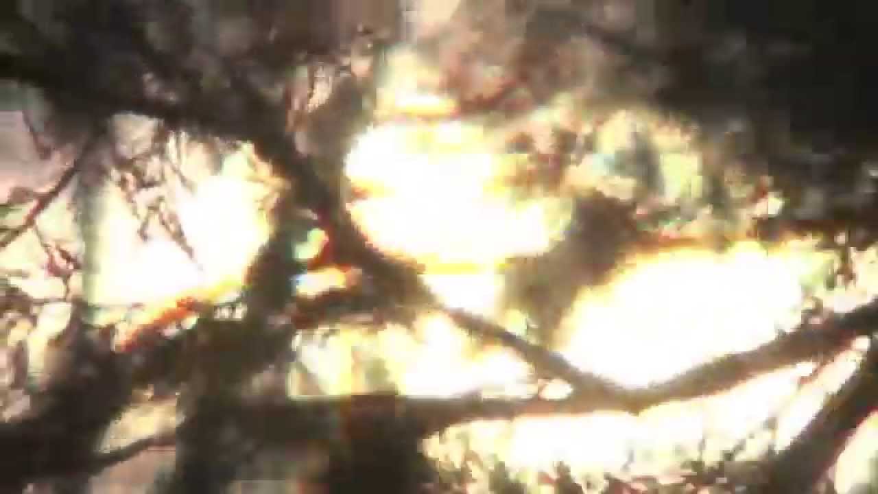 Jeff Bien - The Taste of Creation - YouTube