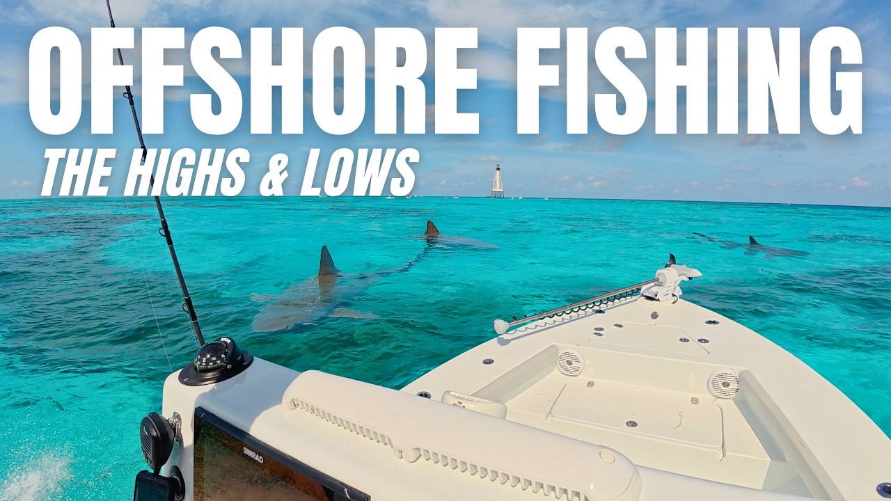 Afternoon Offshore Fishing: The Highs, The Lows & The Chaos in Between ...