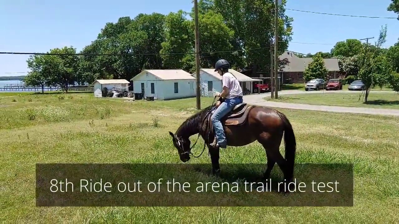Out Side The Arena - Trail test up the road - YouTube