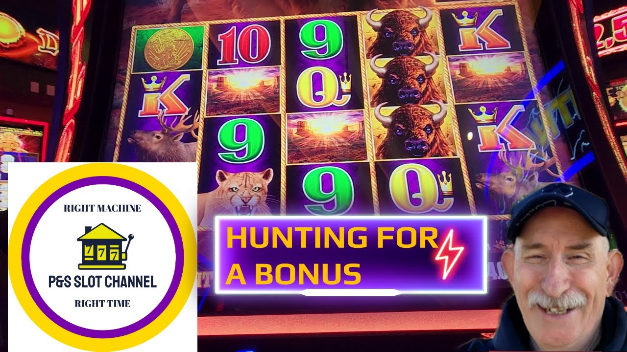 Buffalo Link Big Win Unveiled! - YouTube
