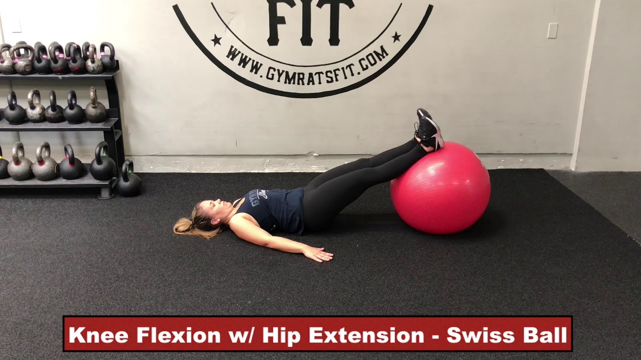 Knee Flexion w/ Hip Extension - Swiss Ball | GRF Exercise Database ...