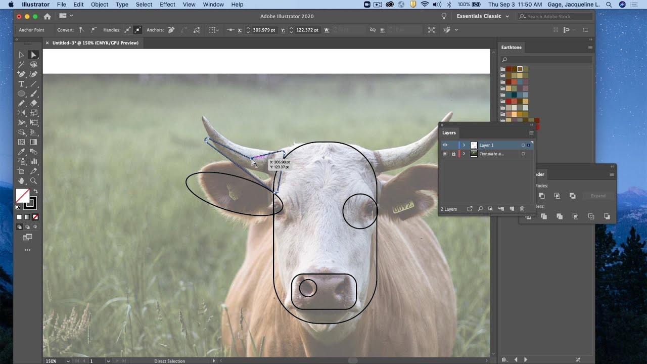 Adobe Illustrator CC 2020 - Making a cow graphic based on a photograph ...