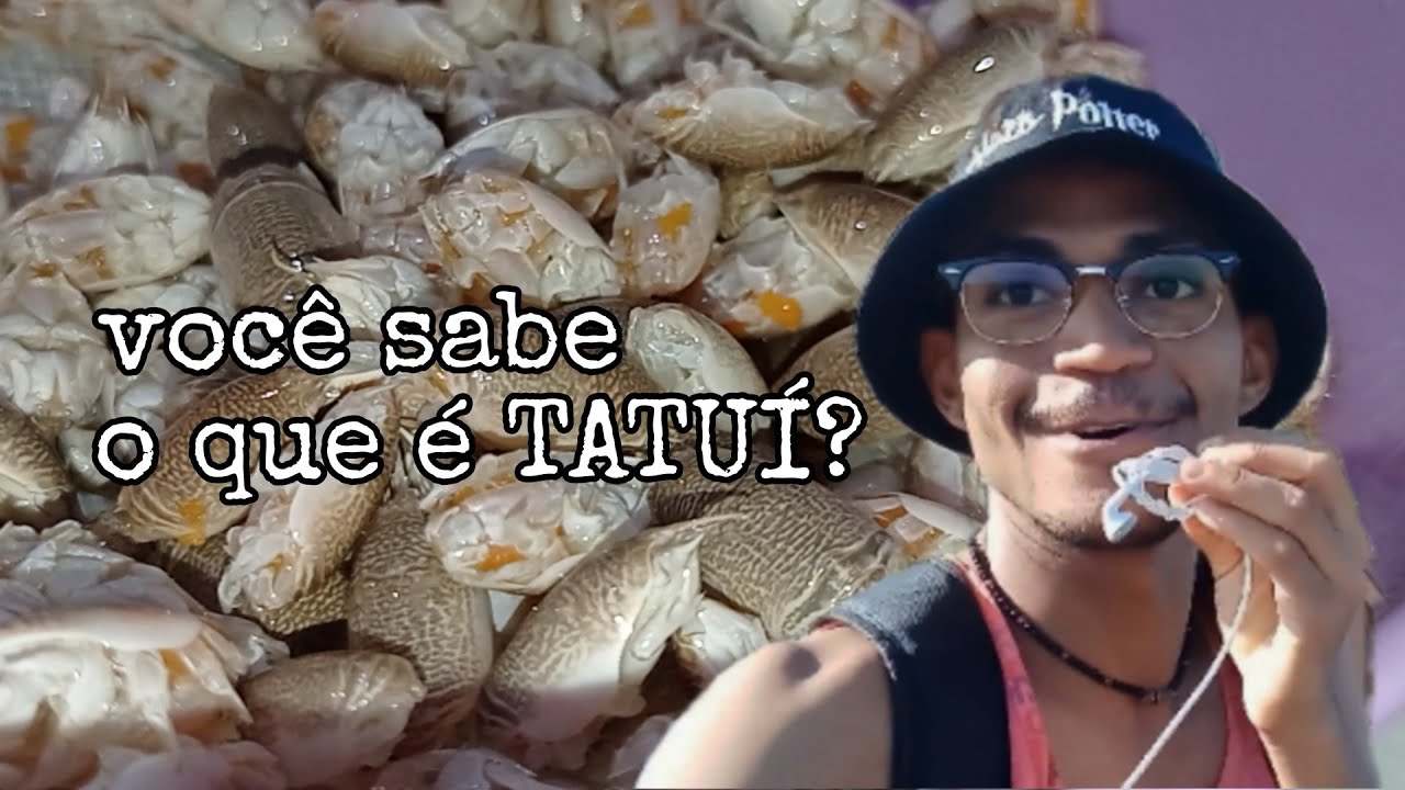 indo na praia pegar TATUÍ Pra comer - YouTube