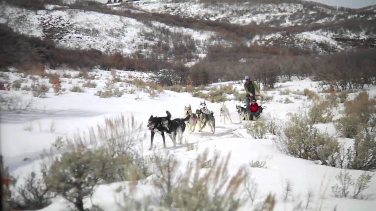 Tundra movie - YouTube