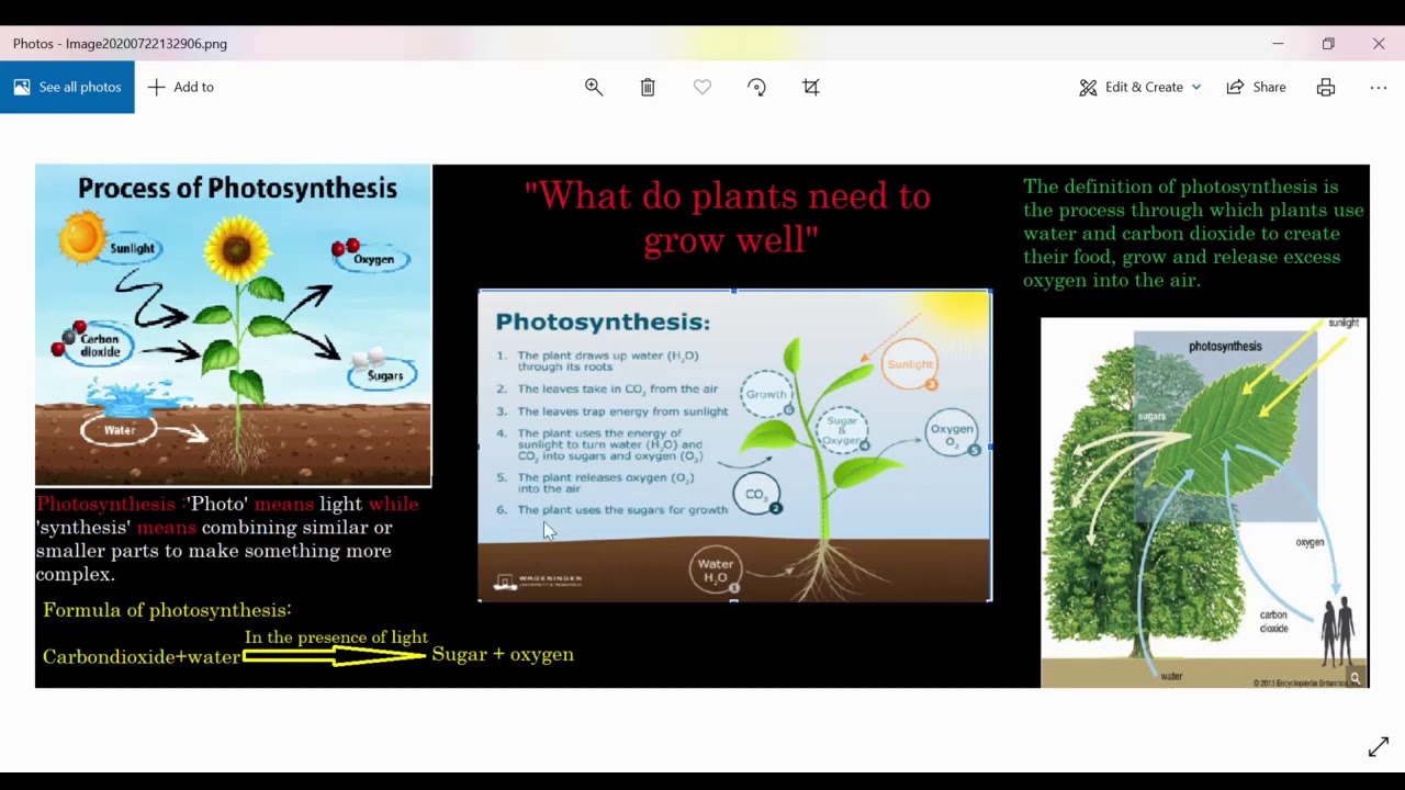6 grade science (Photosynthesis ) - YouTube