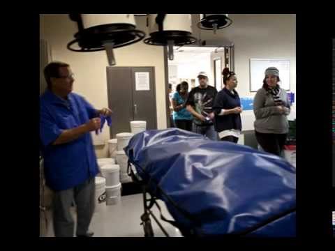 Introduction to the Cadaver Lab - YouTube