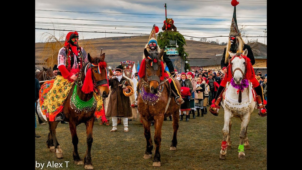 Capra catun Vale - Tudora 2018 - uratorul , caiutii si ursul. - YouTube