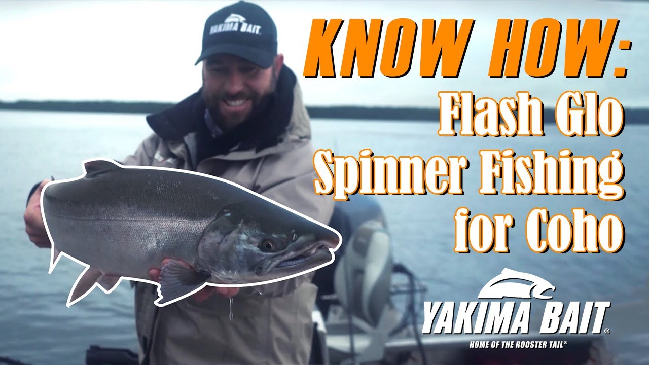 Alaska Coho on Spinners - YouTube