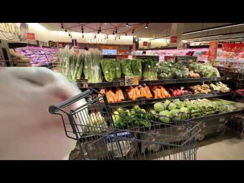 shitpost status: cat grooving in supermarket aisle