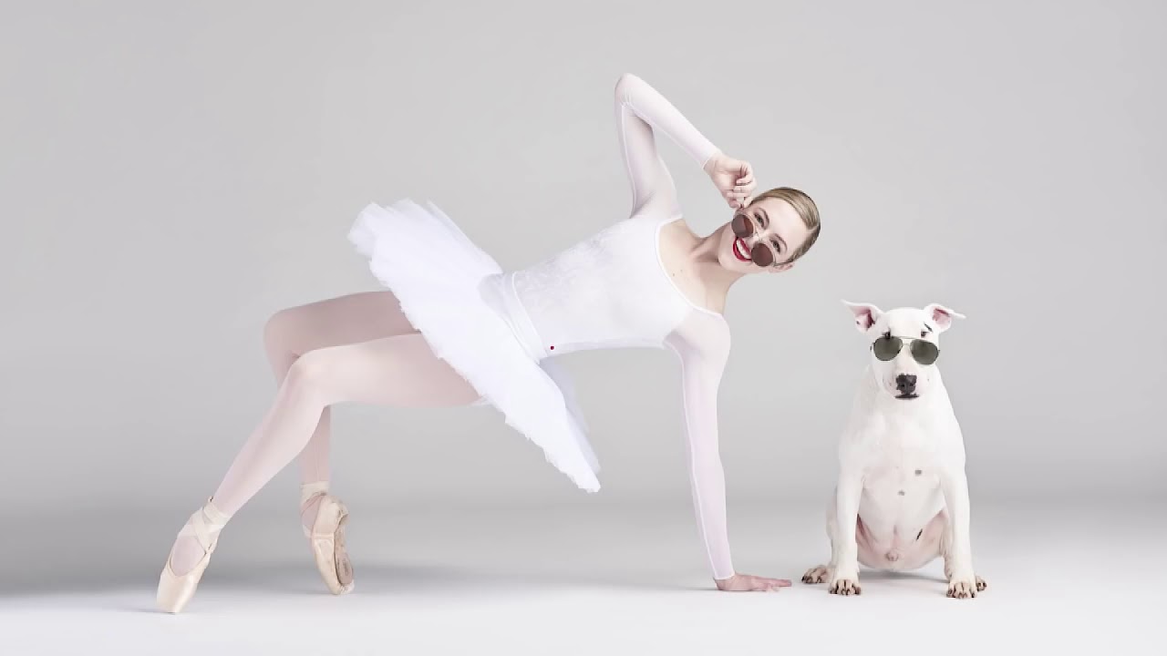 Фотопроект Dancers and Dogs - YouTube