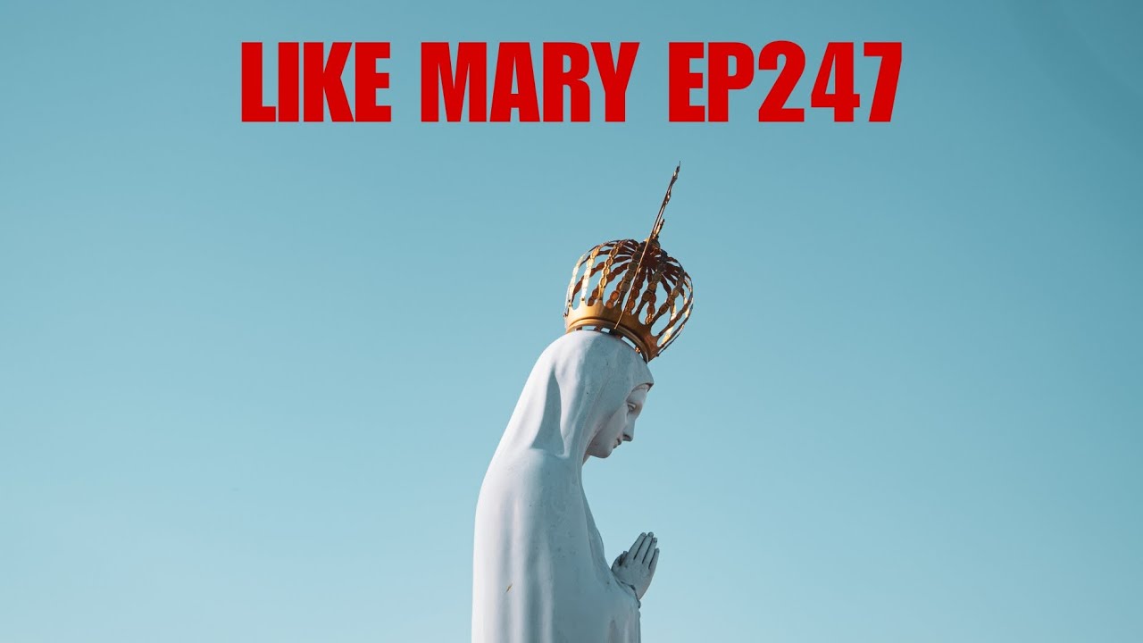 LIKE MARY. EP247 OF THE DAILY DEVOTIONAL EDITION ️‍🔥 .#jesus # ...