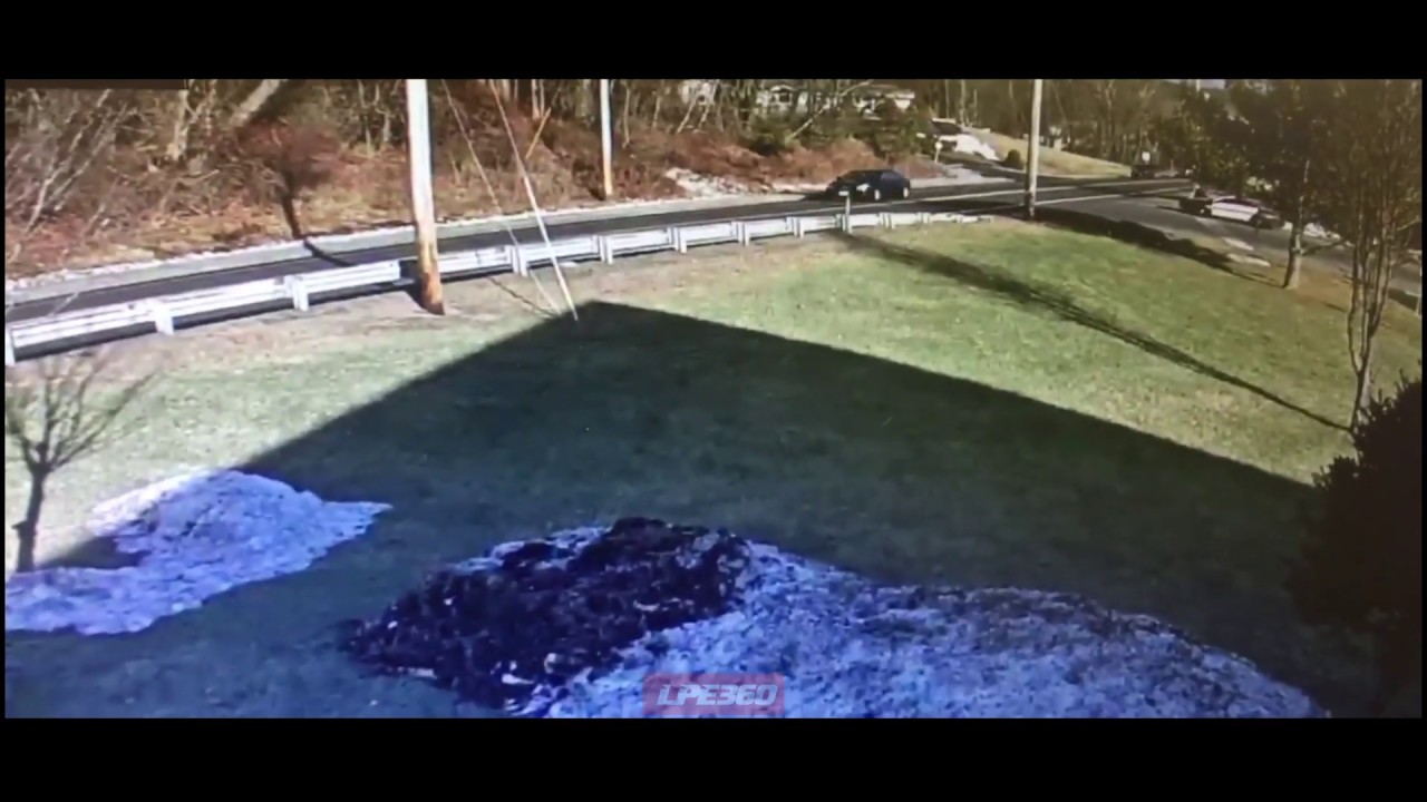 Falling tree narrowly misses car - YouTube