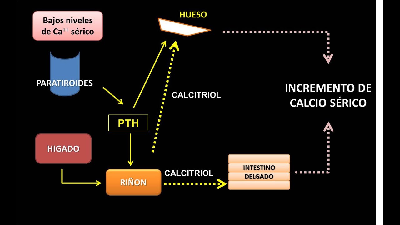 Minerales: Calcio - YouTube