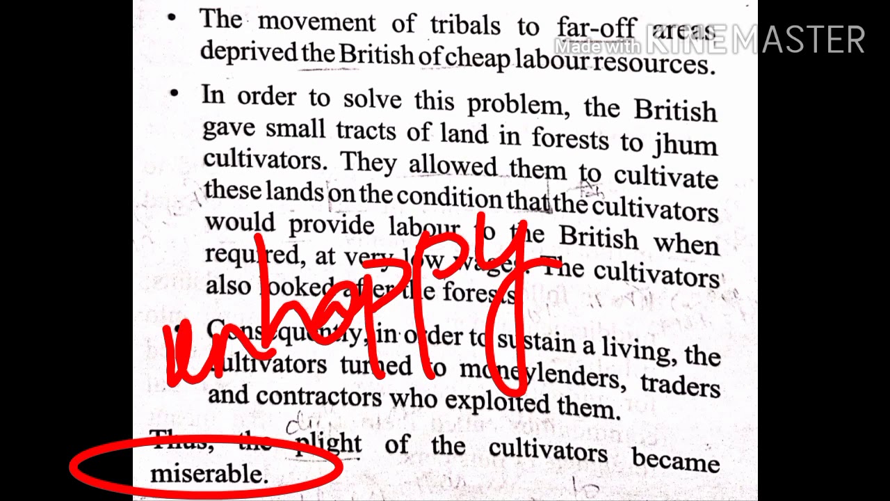 British Forest Laws & Social impact _ Ch 4_ History_ class 8th - YouTube