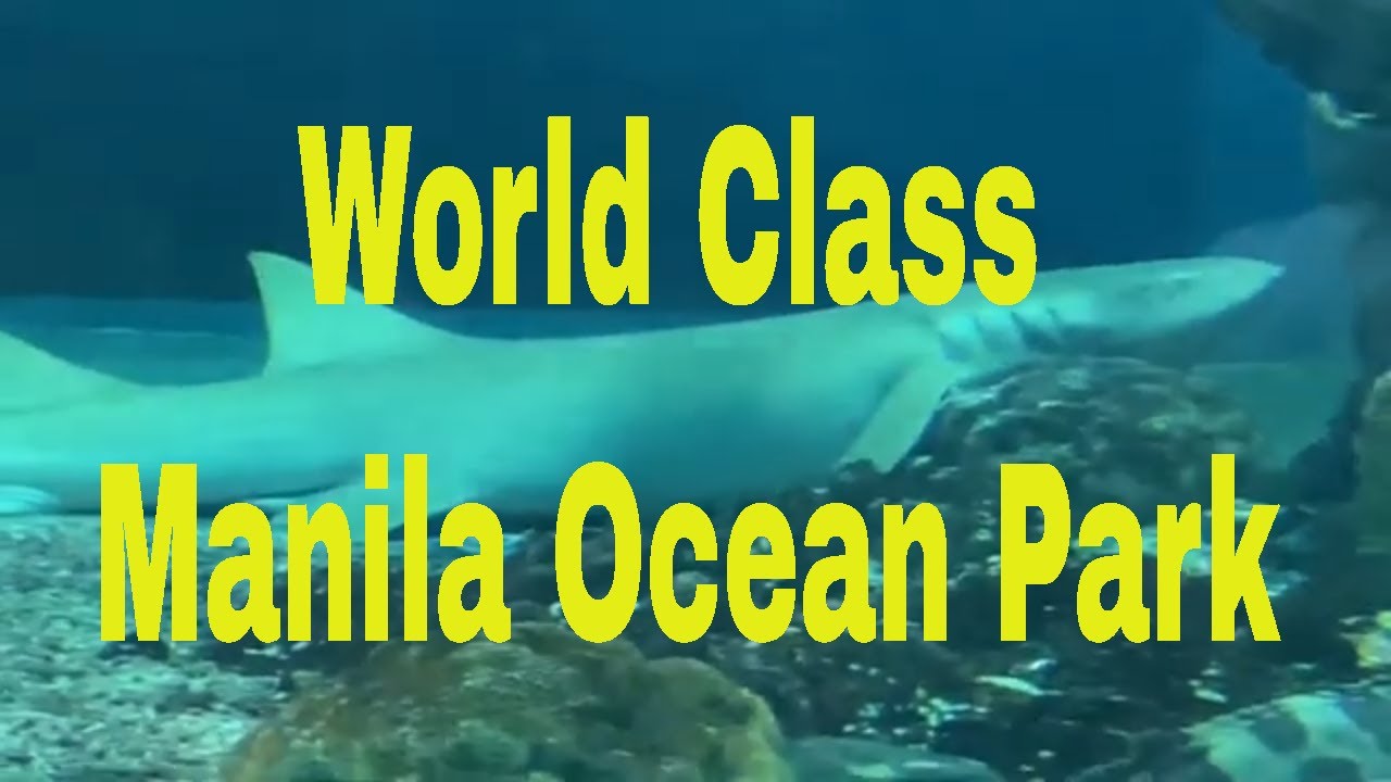 World Class Manila Ocean Park Tour 2023 Part 2/2 - YouTube