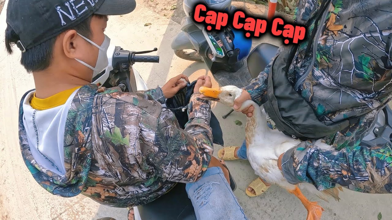 Tuấn Nhỏ || Cùng Team A7 Đi Săn Là phải Có Hàng Khủng.... - YouTube
