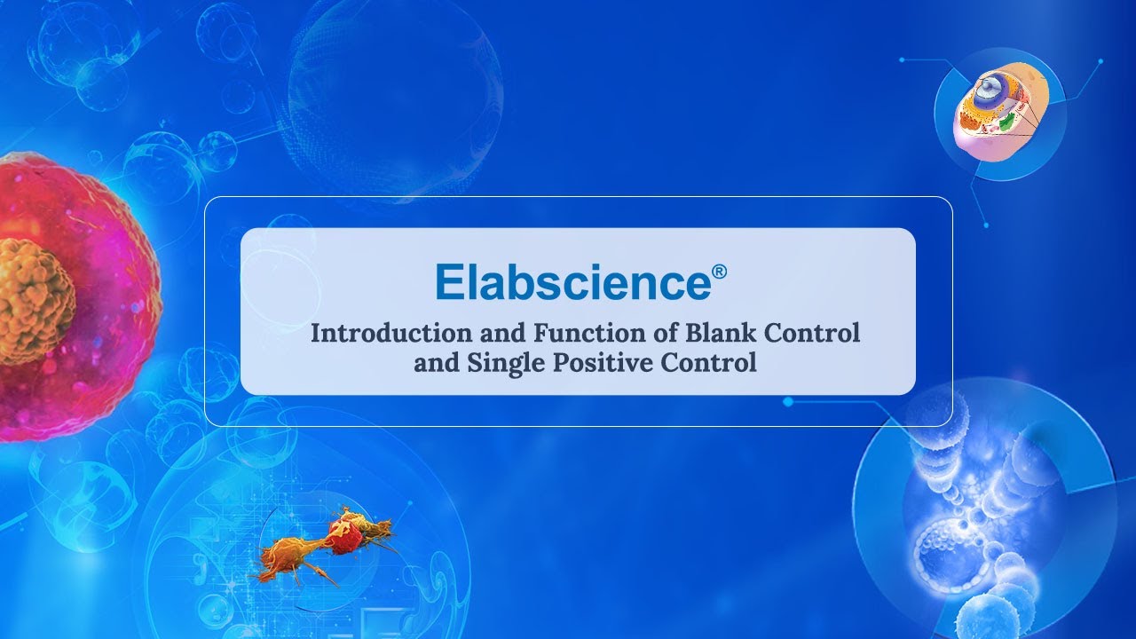 Introduction and Function of Blank Control and Single Positive Control ...