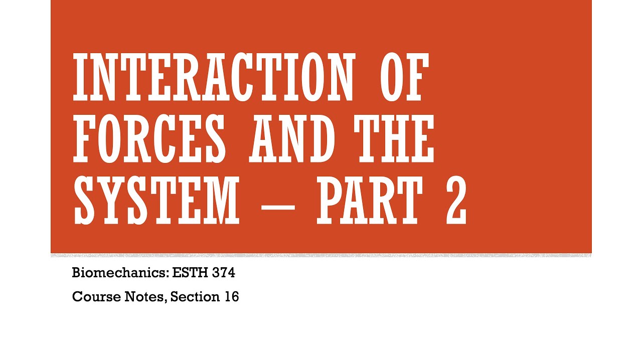 Interaction of Forces and the System Part 2 - Biomechanics - YouTube