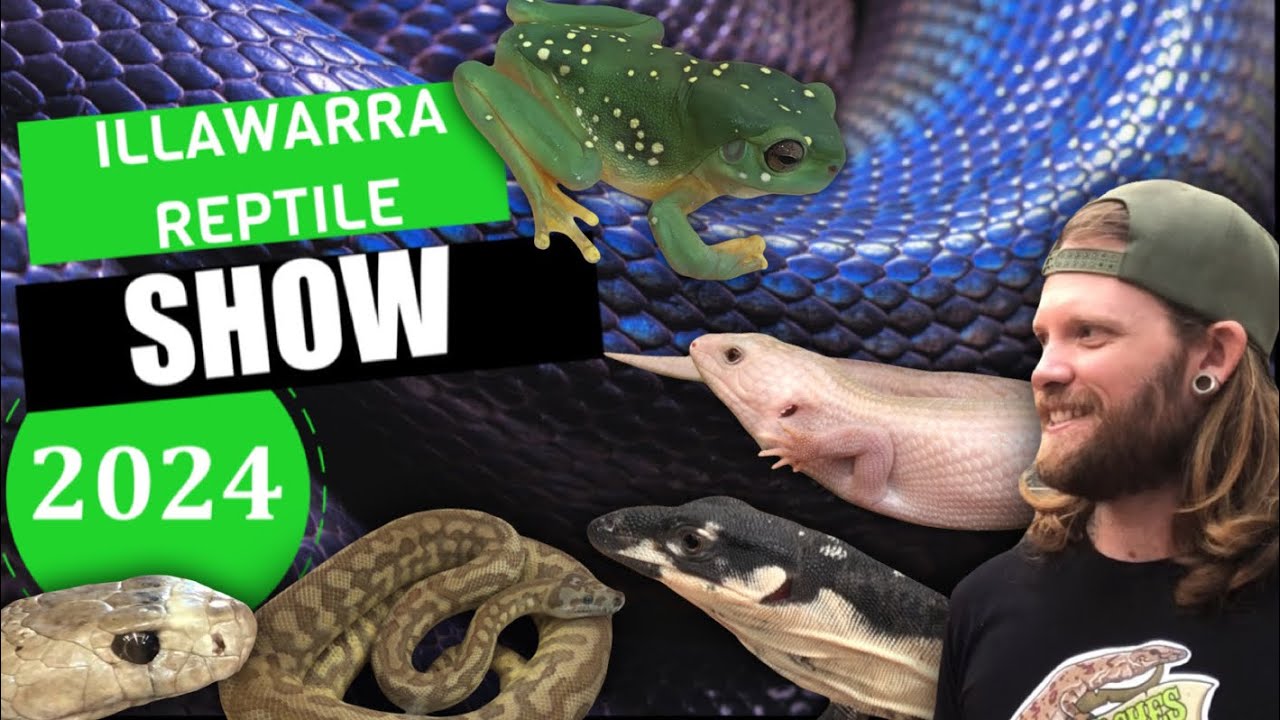 Illawarra Reptile Show 2024 | Australian Reptile Expo - YouTube