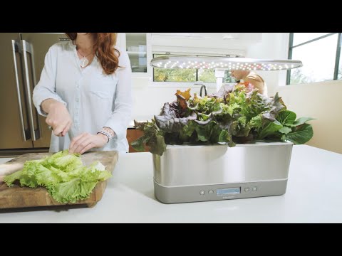 AeroGarden | Sustainability