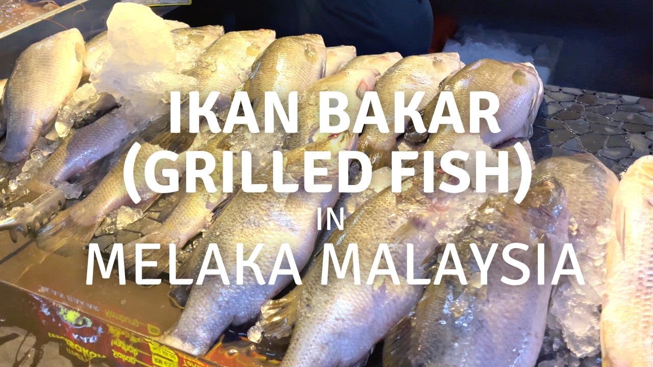 Ikan Bakar (Grilled Fish) Melaka Malaysia - YouTube