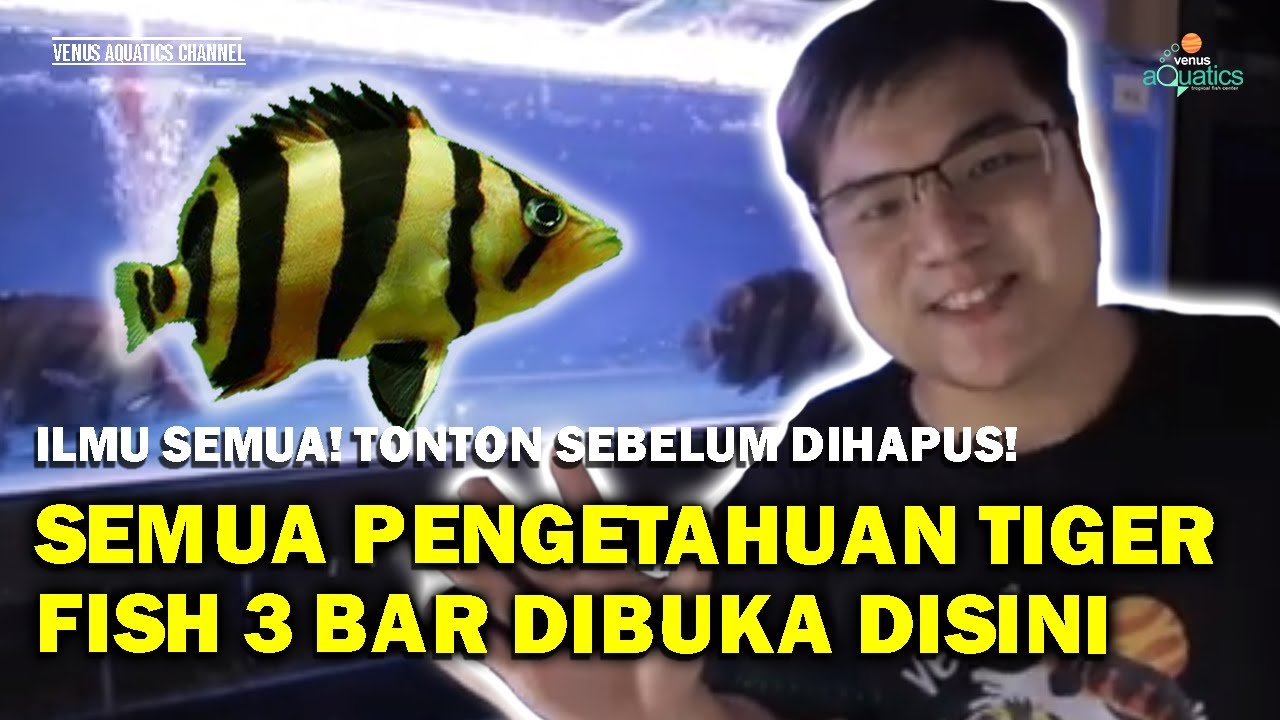 TONTON SEKARANG! VIDEO PALING LENGKAP DAN AKURAT TENTANG INDONESIA DATZ ...