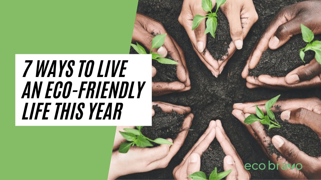 7 WAYS To Live An Eco-Friendly Life This Year - YouTube