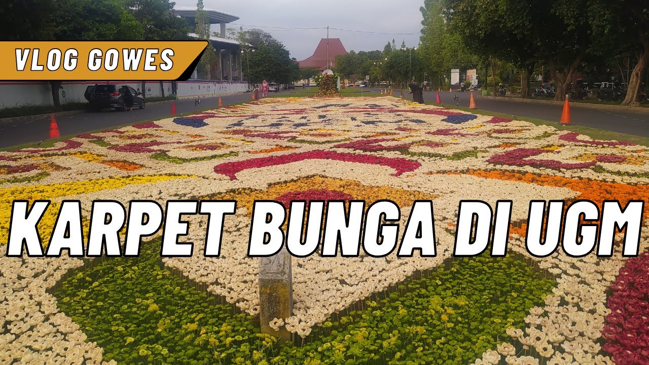 Karpet Bunga Terhampar di Bunderan UGM - YouTube