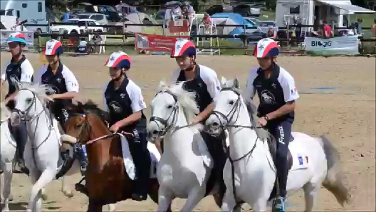 European Championship mounted games 2015 - YouTube