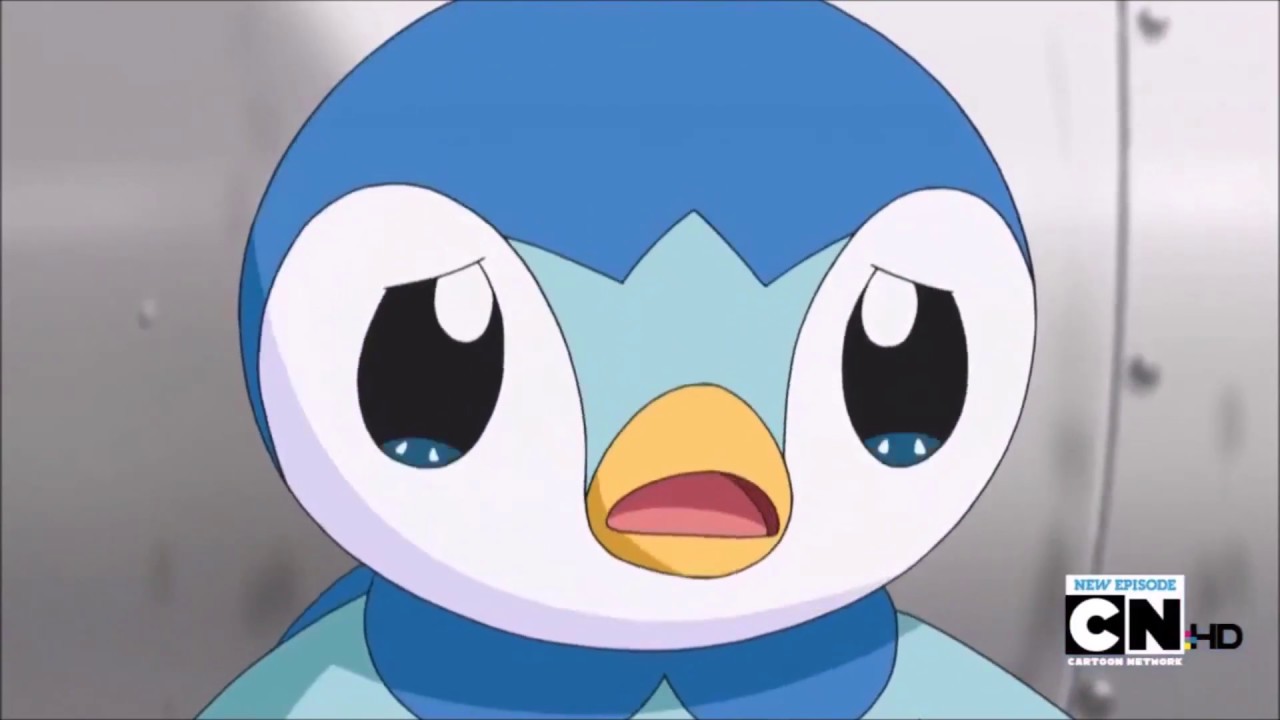 Oshawott And Piplup