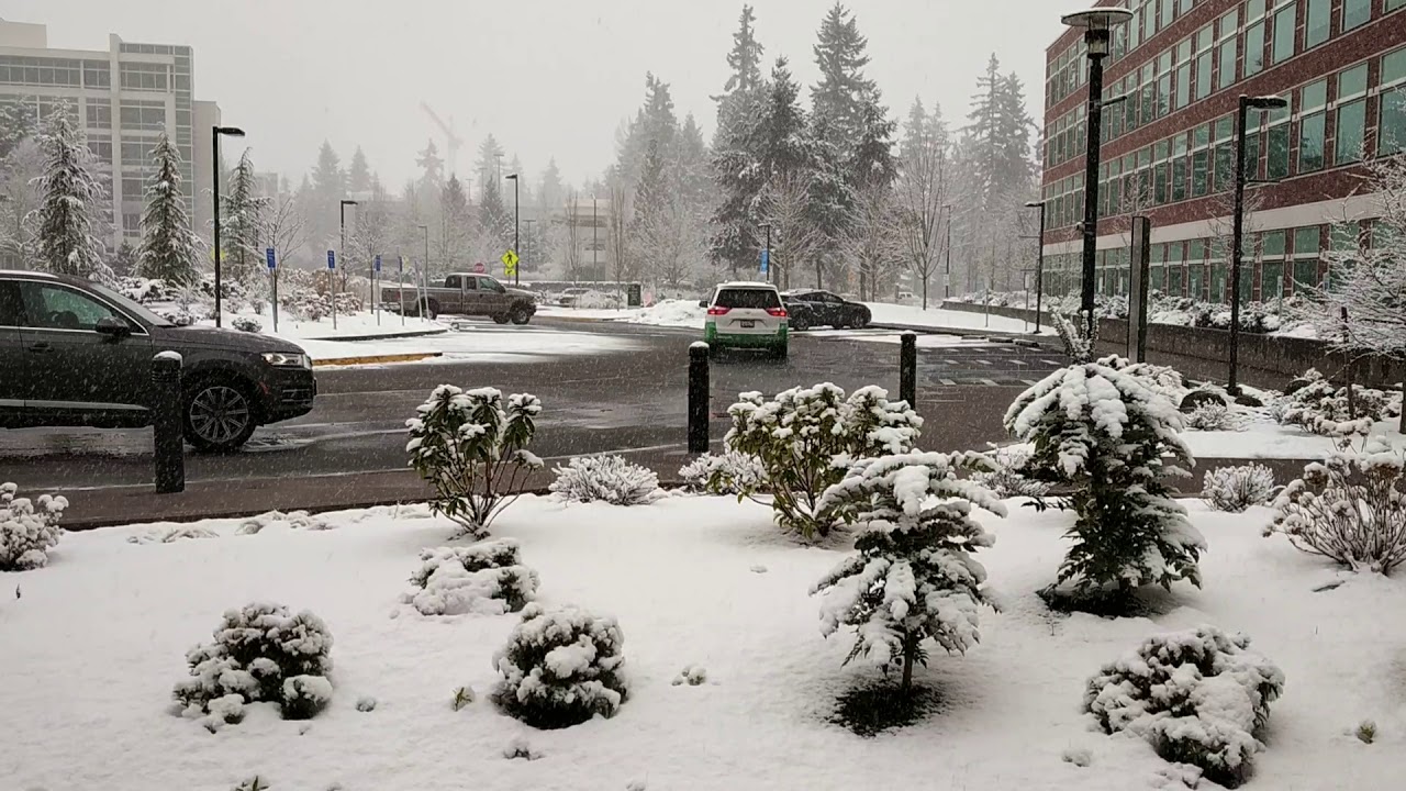 2. Extreme Snowfall in Microsoft Redmond, USA - YouTube