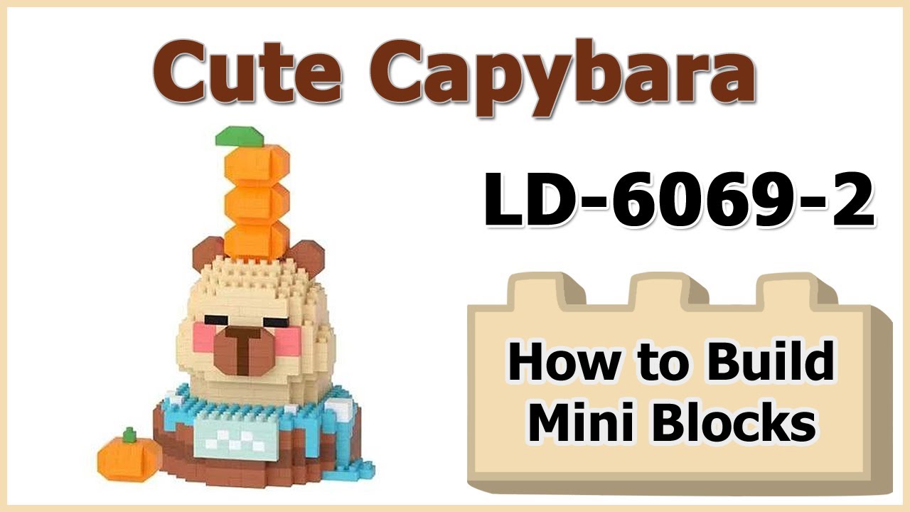 How to Build Mini Blocks Capybara LD-6069-2 Review Manual ...