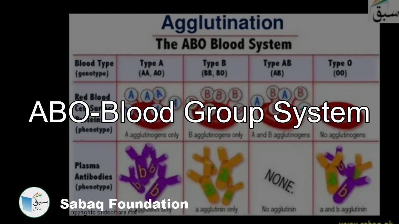 ABO-Blood Group System, Biology Lecture | Sabaq.pk - YouTube