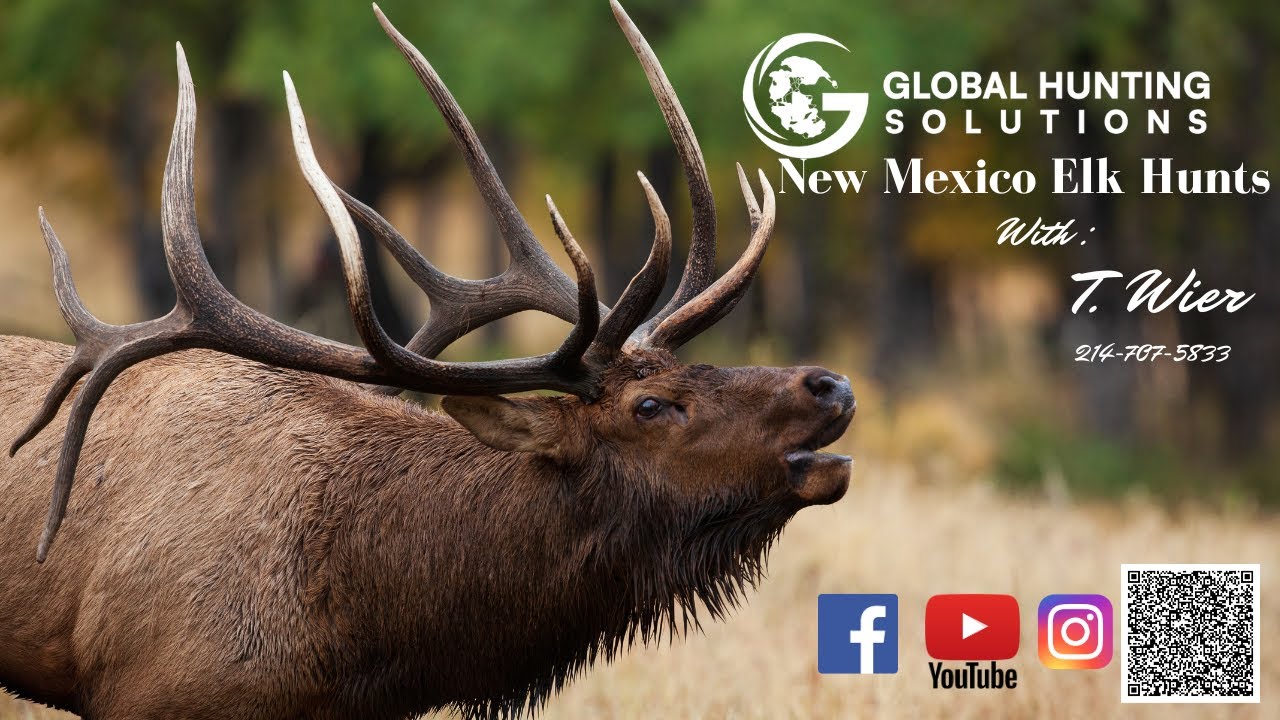 Hunting Giant Elk Bulls on 50,000 Acres of Private Land in New Mexico ...