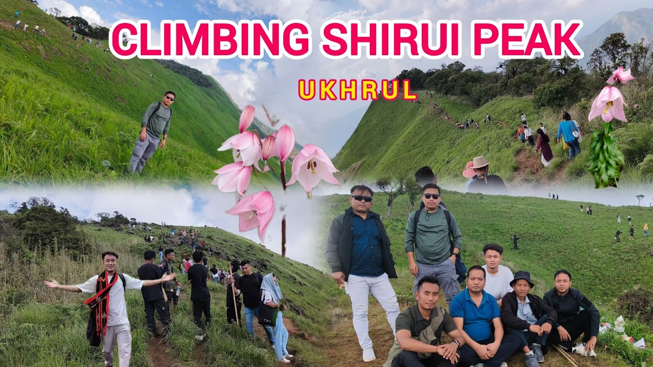 5th State level Shirui Lily festival 2025 !! Climbing Shirui kashong ...