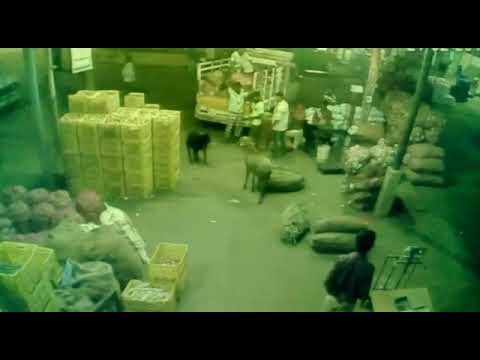 Tagaru fight in apmc market cought on CCTV cam - YouTube