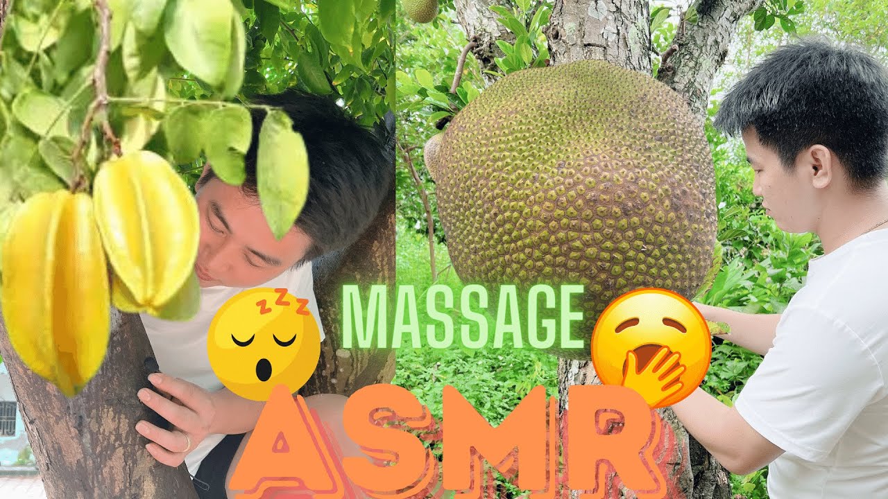 [ASMR] - Collection Of Tree Massage Videos After Listening, I ...