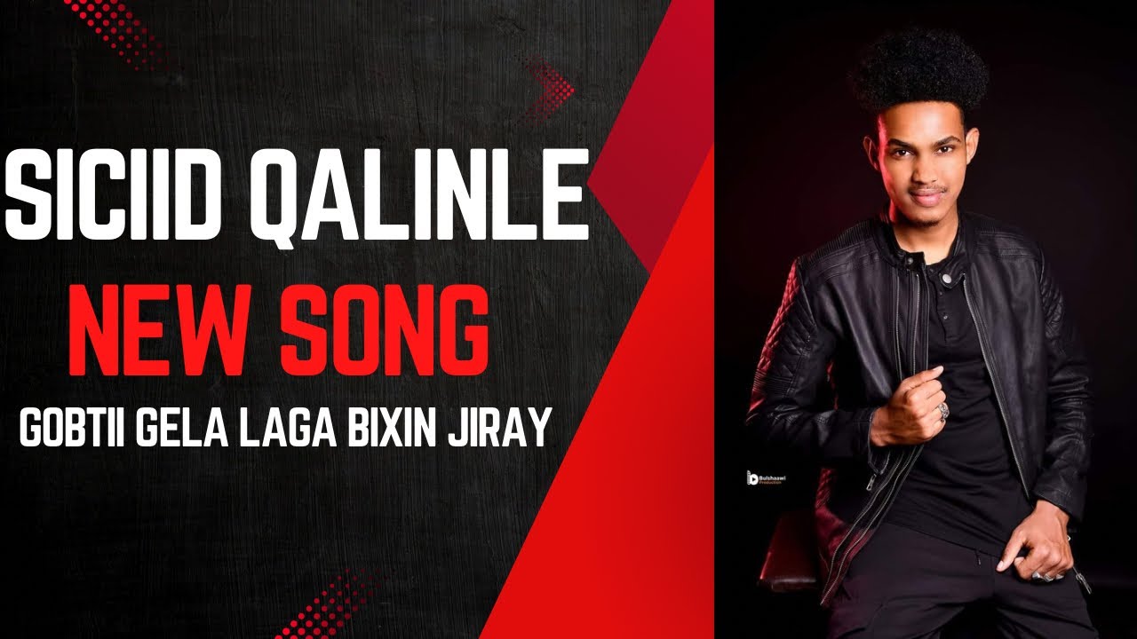 SICIID QALINLE WAXA TAHAY GARIDII GEELA LAGA BIXIN JIRAY OFFICIAL clip ...