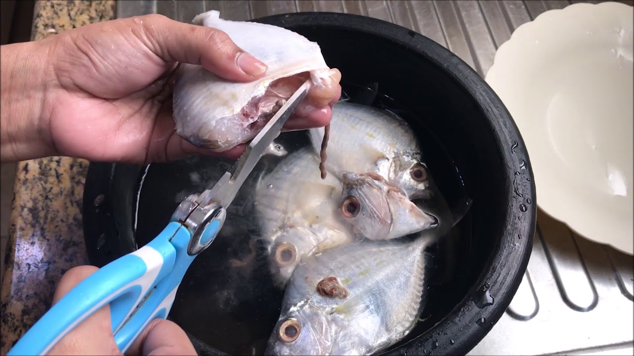 How to Clean Mullan Fish | മുള്ളൻ ക്ലീനിംഗ് ടിപ്സ് | വൃത്തിയാക്കുന്ന ...