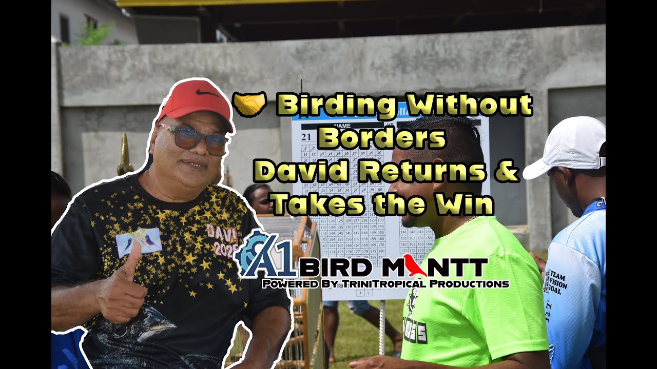 🤝 Birding Without Borders David Returns & Takes the Win! 🌍Bullfinch ...