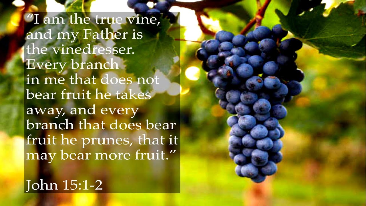 You not going to become what you are supposed to become without fruit ...