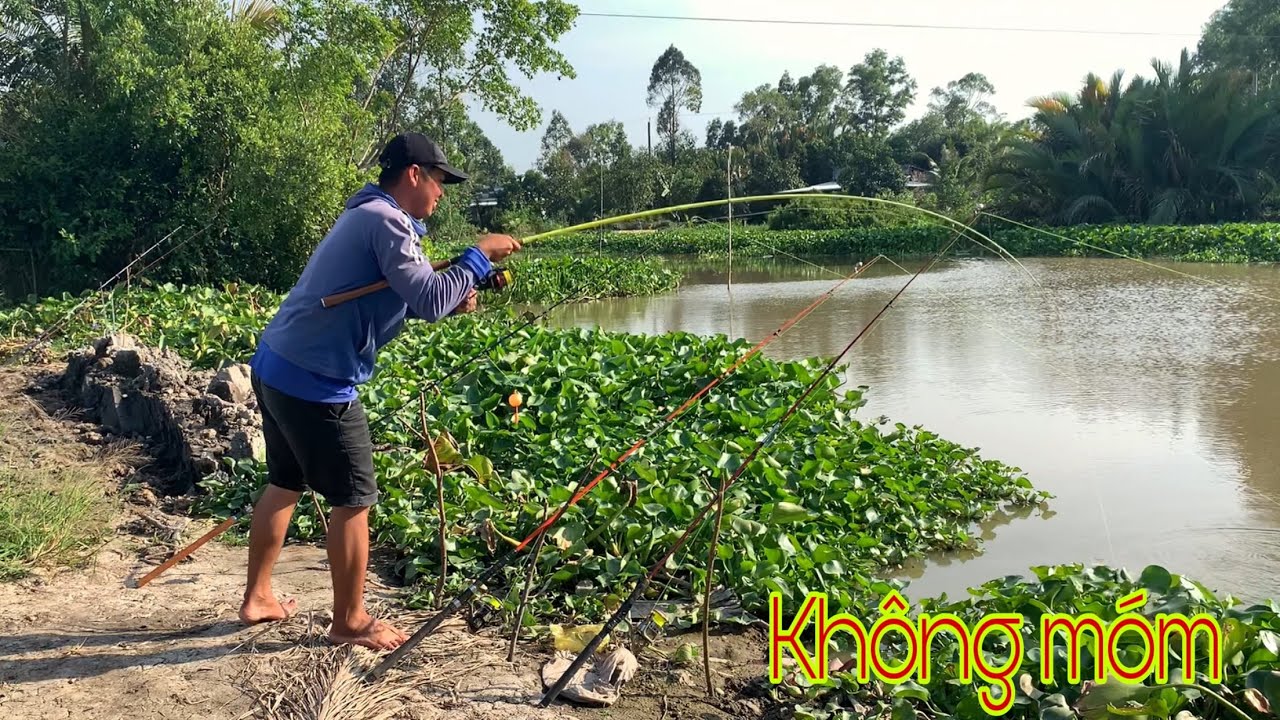Câu Cá Tra Sông - Câu Giải Trí Xem Cá Ăn Vài Kiểu Này Là Vui | Fishing ...