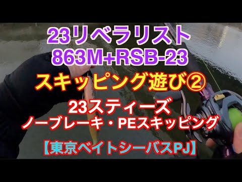 【ノーブレーキPEでスキッピングキャスト】で遊ぶベイトシーバス②：23リベラリスト863M+RSB-23と23スティーズAⅡ1000XHL 【東京ベイトシーバスPJ＃ キャスティング探求編② ...