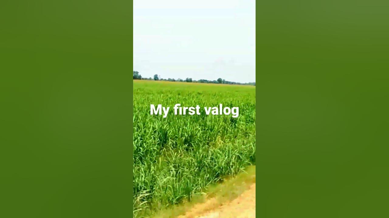 my first velog #2023 - YouTube